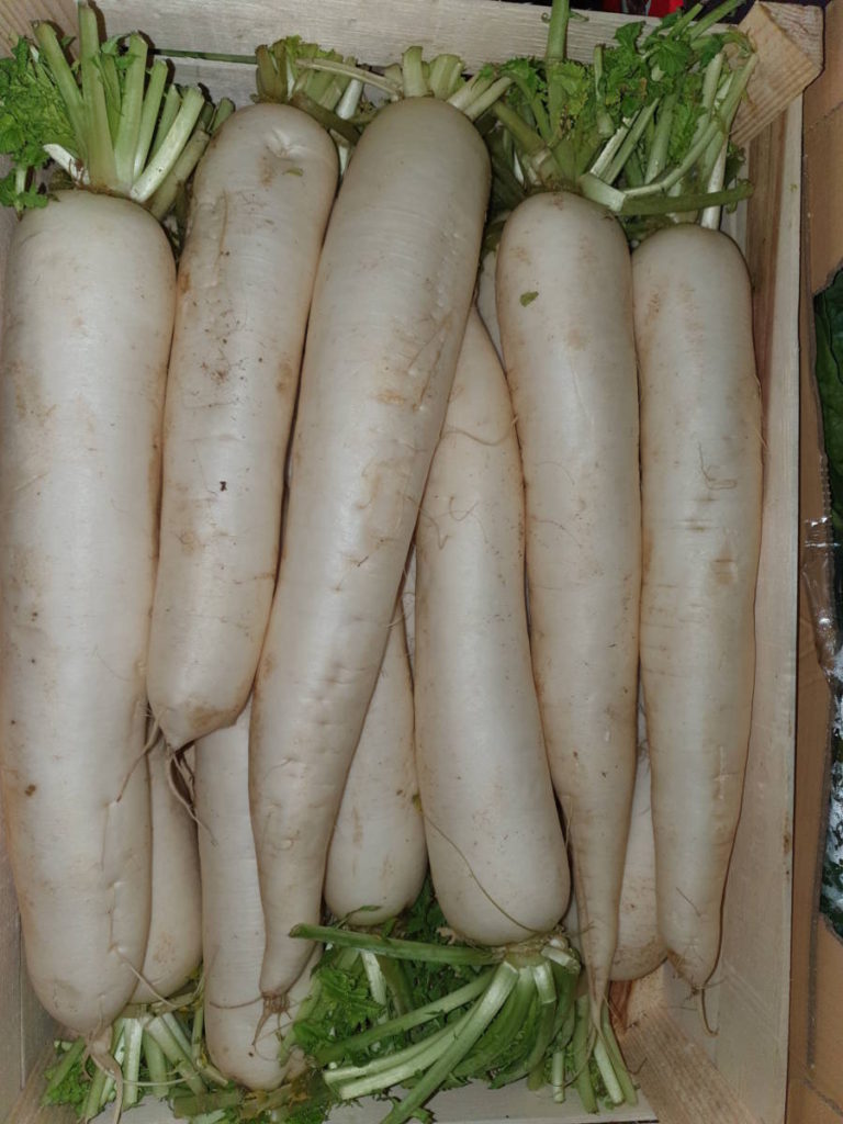 Mooli Large ( white radish) Each - The Northampton Grocer