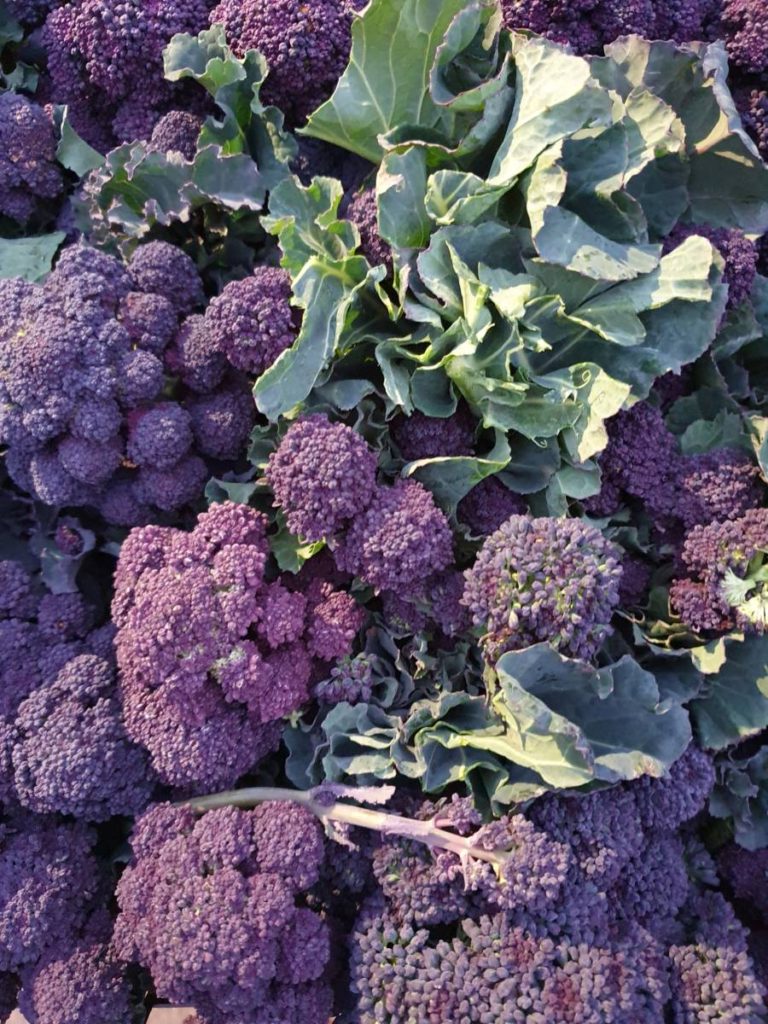 Purple Sprouting Broc English - 250g - The Northampton Grocer