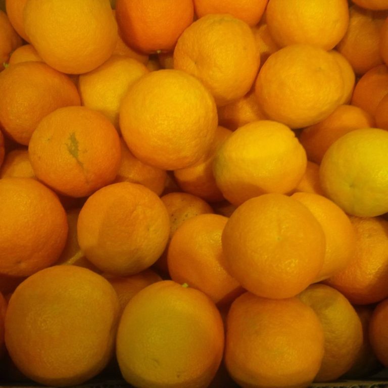 Seville oranges (Marmalade) - The Northampton Grocer
