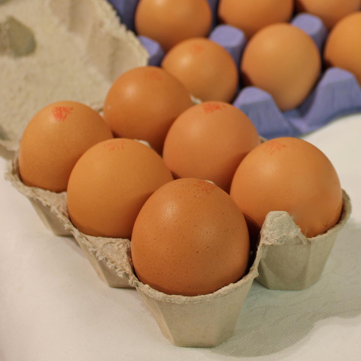 Local Free Range Eggs Extra Large The Northampton Grocer Local Free Range Eggs Extra Large The Northampton Grocer